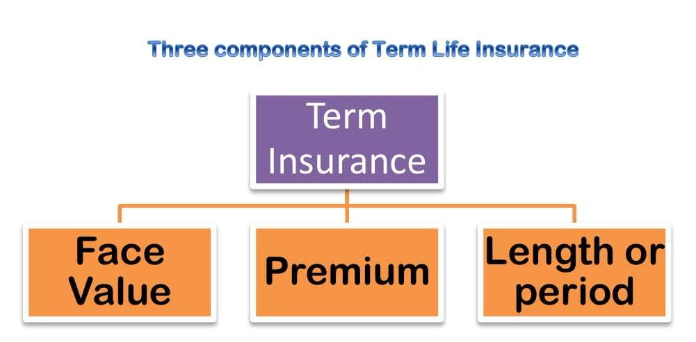 Best Term Insurance Plans for 2018