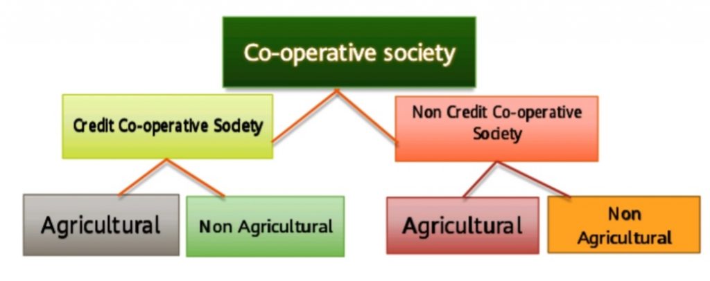 Co-operative society in India |Definition|Features|Types|Benefits